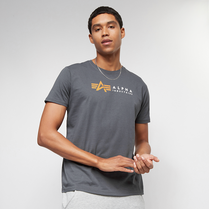Alpha Industries Basic T Small Logo grijs (118502-136)
