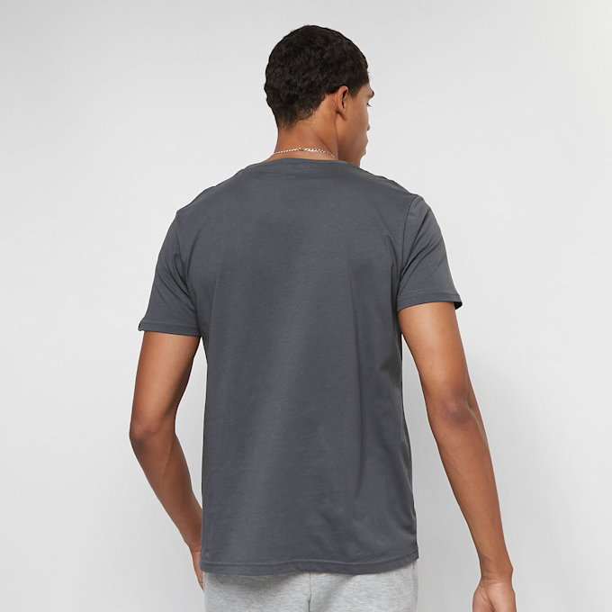 Alpha Industries Basic T Small Logo grijs (118502-136)