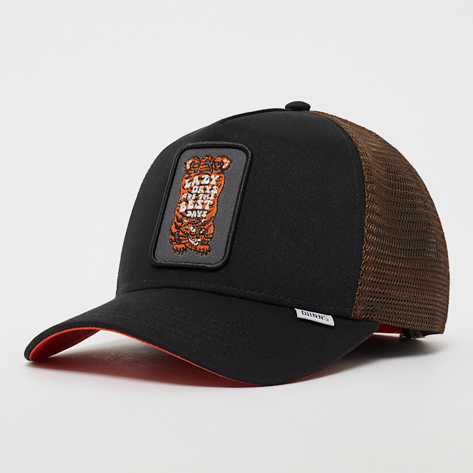 DJINNS HFT Cap Lazy Tiger Patch crna (1004870)