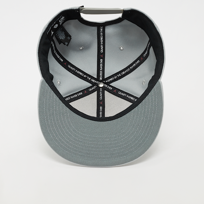 Shop Jordan Jumpman Pro Verstellbare Cap grijs