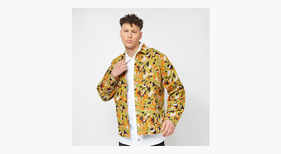 Dickies 02035721 gold (DK0A4XOXC631) kaufen