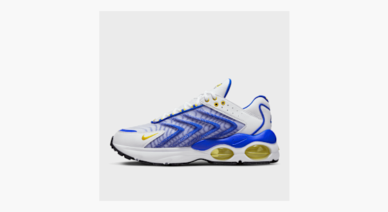 Nike Air Max TW wit (DQ3984-100)