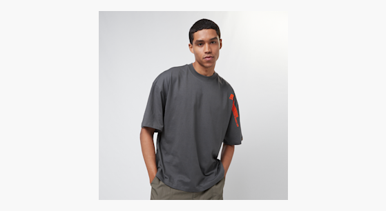 Alpha Industries Flock Logo Tee grau (146508-684)