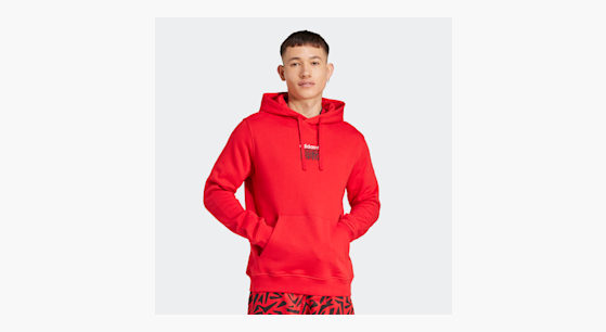 adidas Originals Graphics Hoodie rouge (IZ4835)