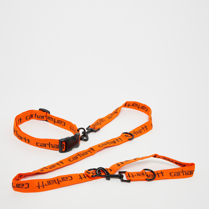 Carhartt WIP Script Dog Leash & Collar oranje | I030251-1BKXX | SNIPES