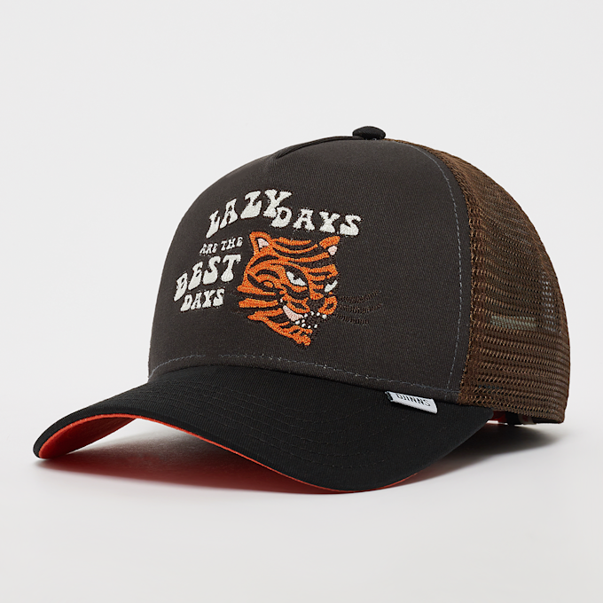 DJINNS HFT Cap Lazy Tiger noir | 1004871 | SNIPES