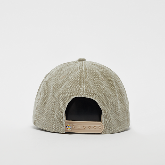 Dickies Hardwick Duck Canvas beige | DK0A4Y9IDS01 | SNIPES