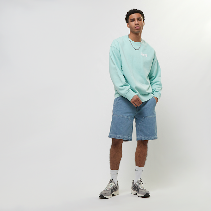 Levi's Relaxed Graphic Crew blauw | 38712-0092 | SNIPES