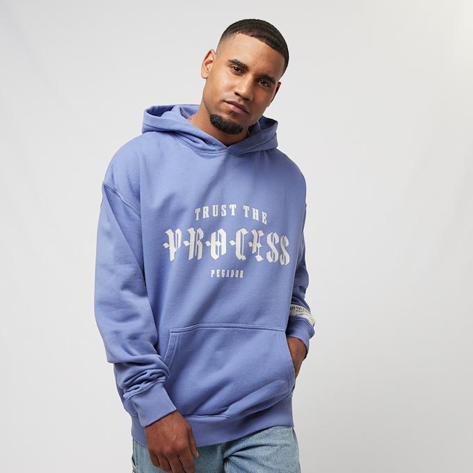 Pegador Cordova Oversized Hoodie Vintage violeta | PGDR-2299-327 | SNIPES