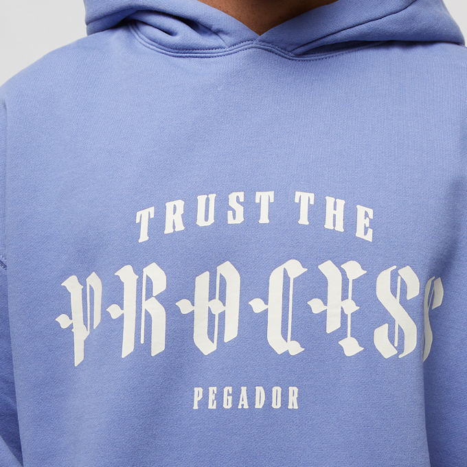 Pegador Cordova Oversized Hoodie Vintage violeta | PGDR-2299-327 | SNIPES