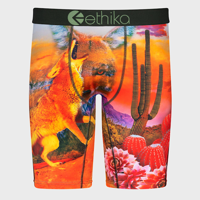 Ethika Desert Dog Bottom multicolor | MLUS2526 | SNIPES