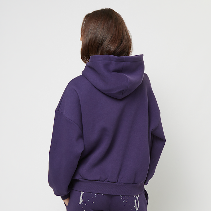 Felicious Regular Hoodie Rhinestones pourpre | FELI-243-HO-0002-062 ...